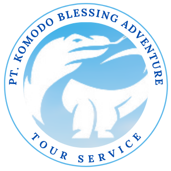 Komodo Lombok Adventure 4D 3N - Komodo Open Tour
